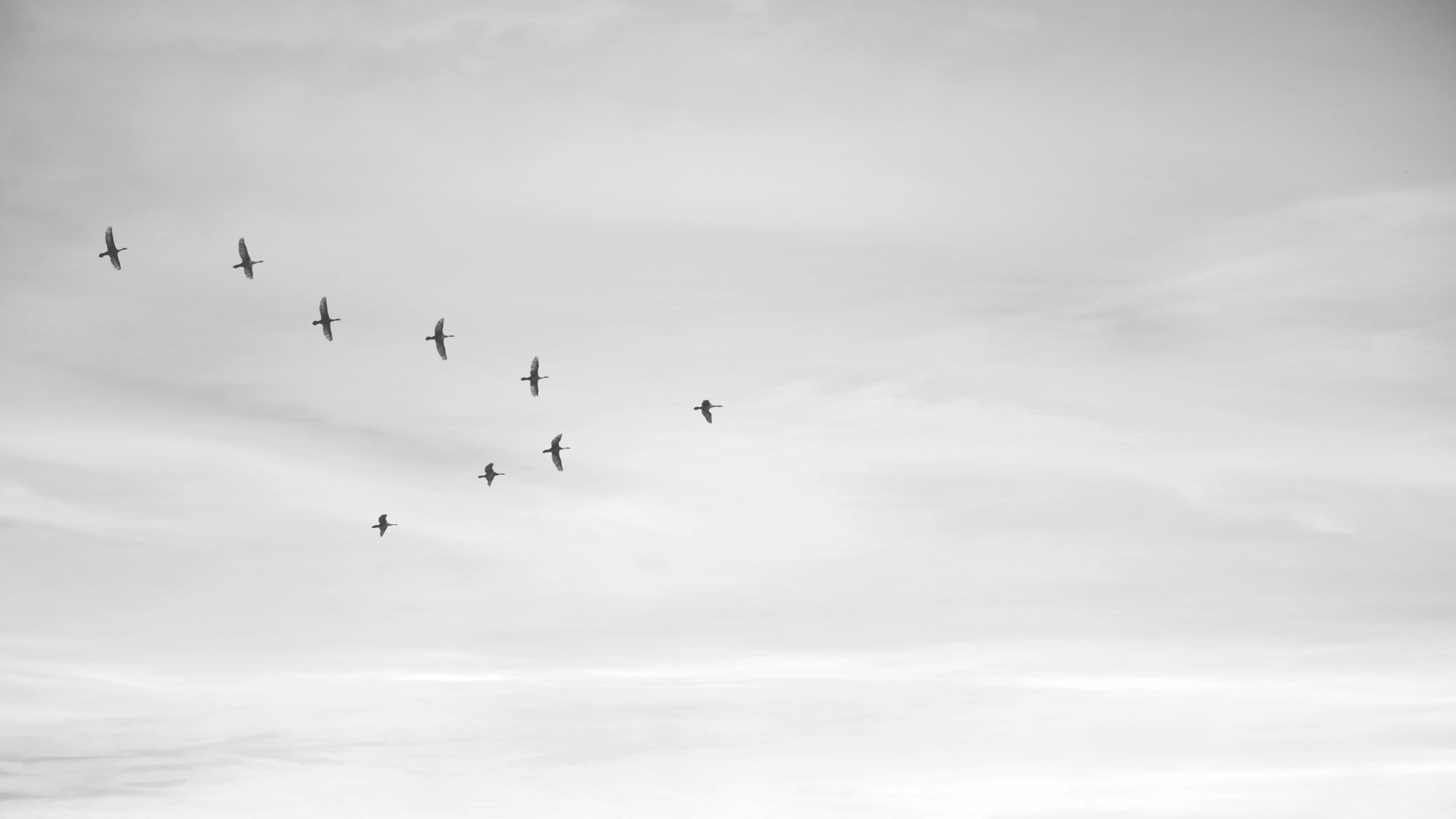 Who We Are - ASC Strategic Revenue Solutions